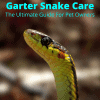 Garter Snake Care (The Ultimate Guide For Pet Owners)