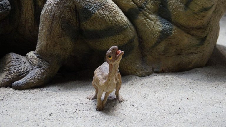 Facts About Snakes (14 Amazing Snake Facts You Won't Believe)