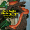 Corn Snake Climbing Toys (5 Best Branches And Vines For Your Pet)