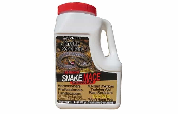 What Is The Best Snake Repellent On The Market? - My Snake Pet